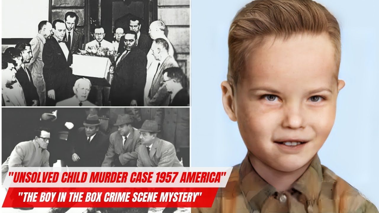 The Boy in the Box America’s Most Haunting Cold Case!The Mysterious ...