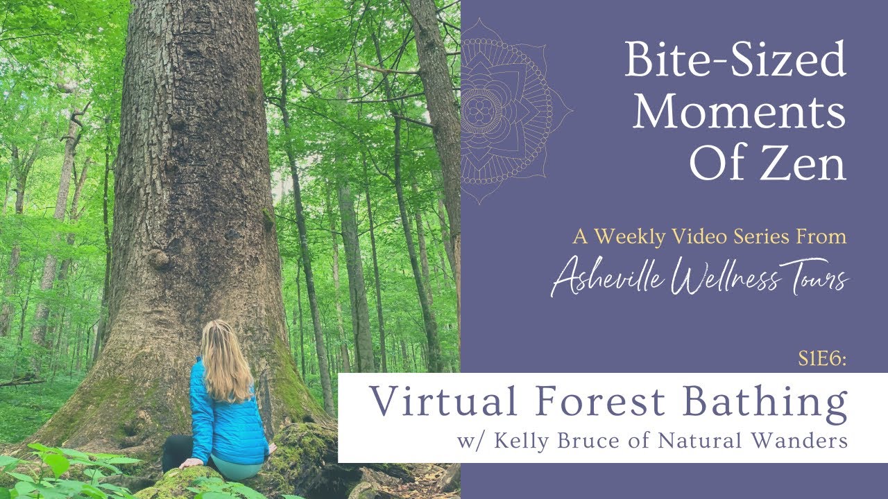 Virtual Forest Bathing | A Bite Sized Moment of Zen w/ Asheville Wellness Tours - YouTube