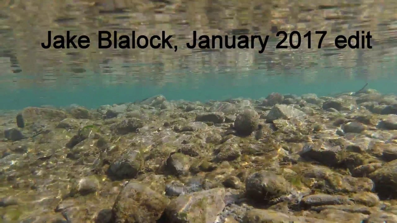 Jake Blalock, January 2k17 - YouTube