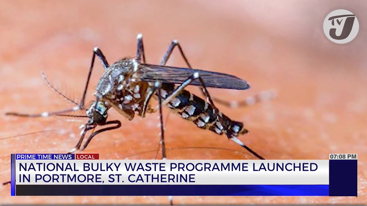 National Bulky Waste Programme Launched in Portmore, St. Catherine ...