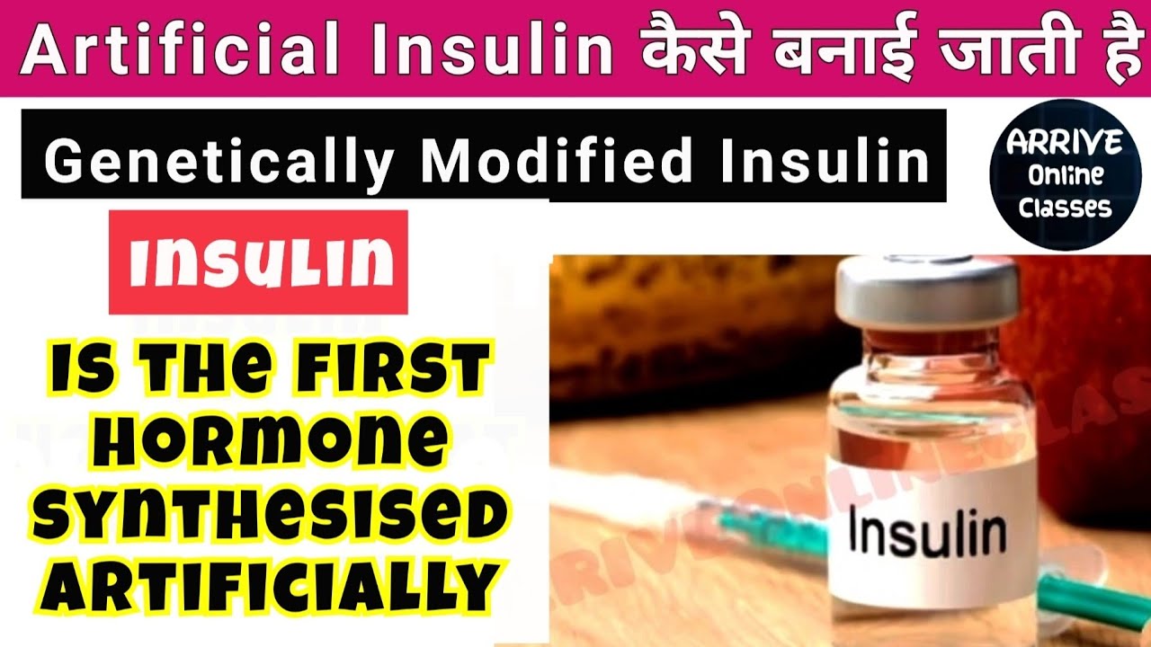 Insulin Hormone || Biotechnology : Genetically modified insulin | rDNA ...