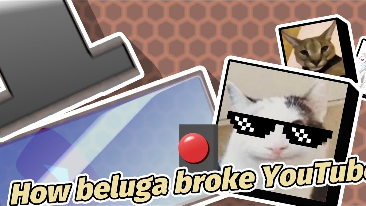 How beluga broke YouTube lol - YouTube