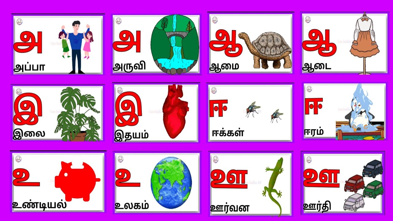 உயிர் எழுத்துக்கள்/a aa e ee/tamil uyireluthukkal/@sai3917 - YouTube