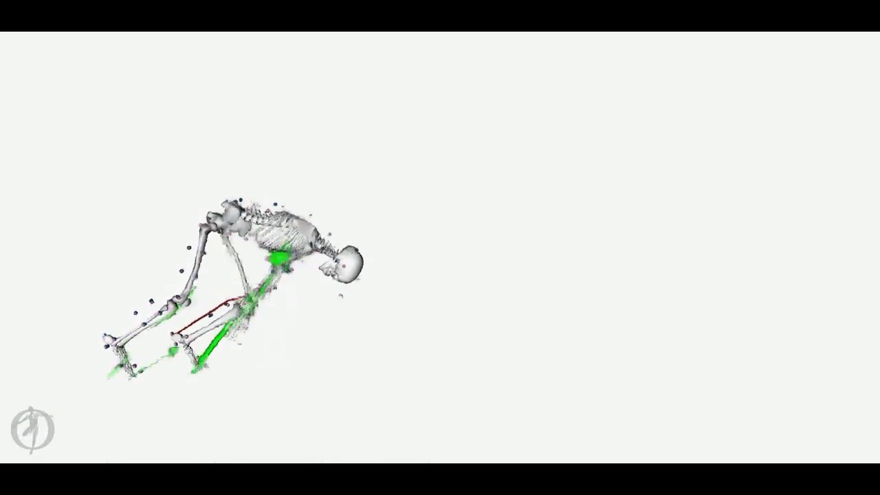 Sprint Start - MSK modelling - YouTube