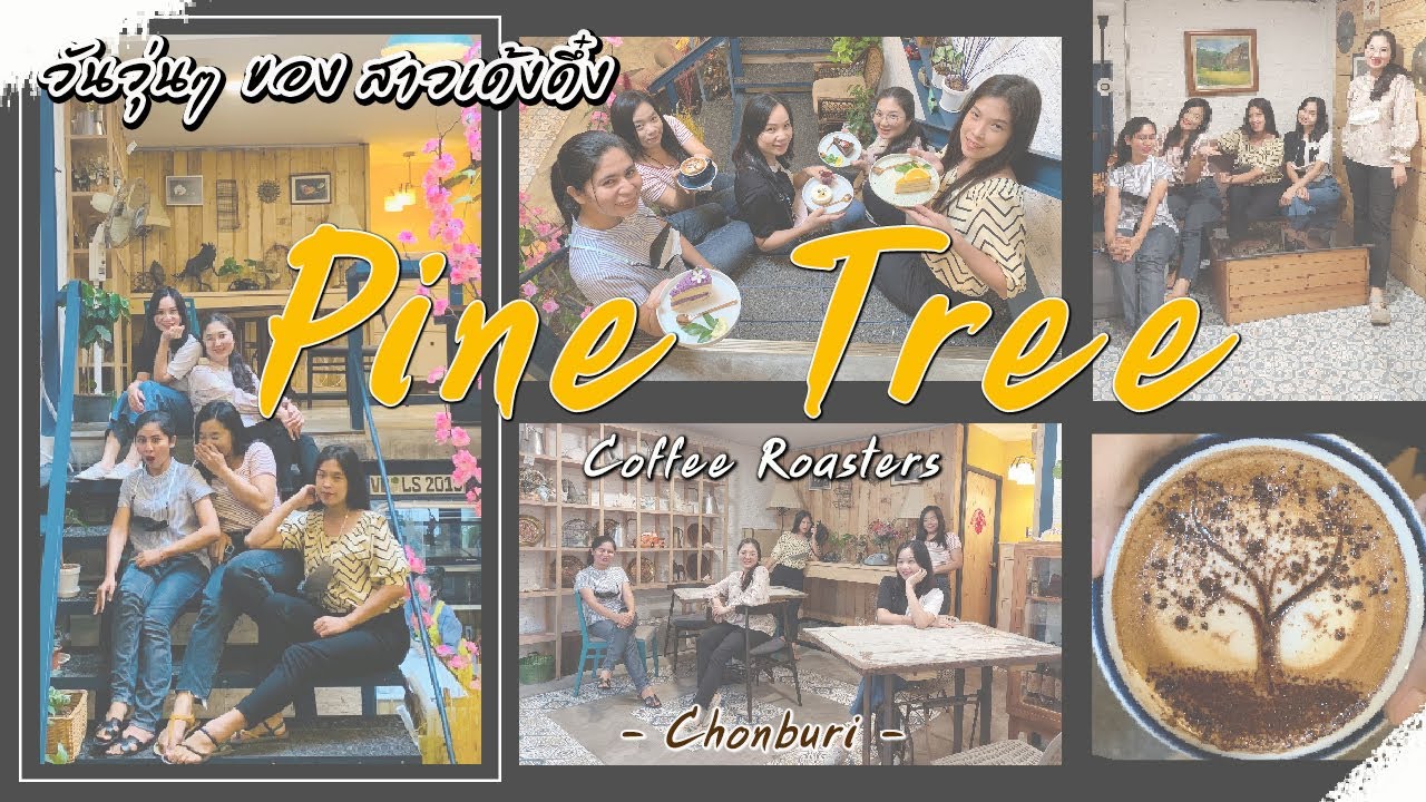 PINE TREE Coffee Roasters | คาเฟ่ ชลบุรี | คาเฟ่ที่มีโรงคั่วกาแฟเป็นของ ...