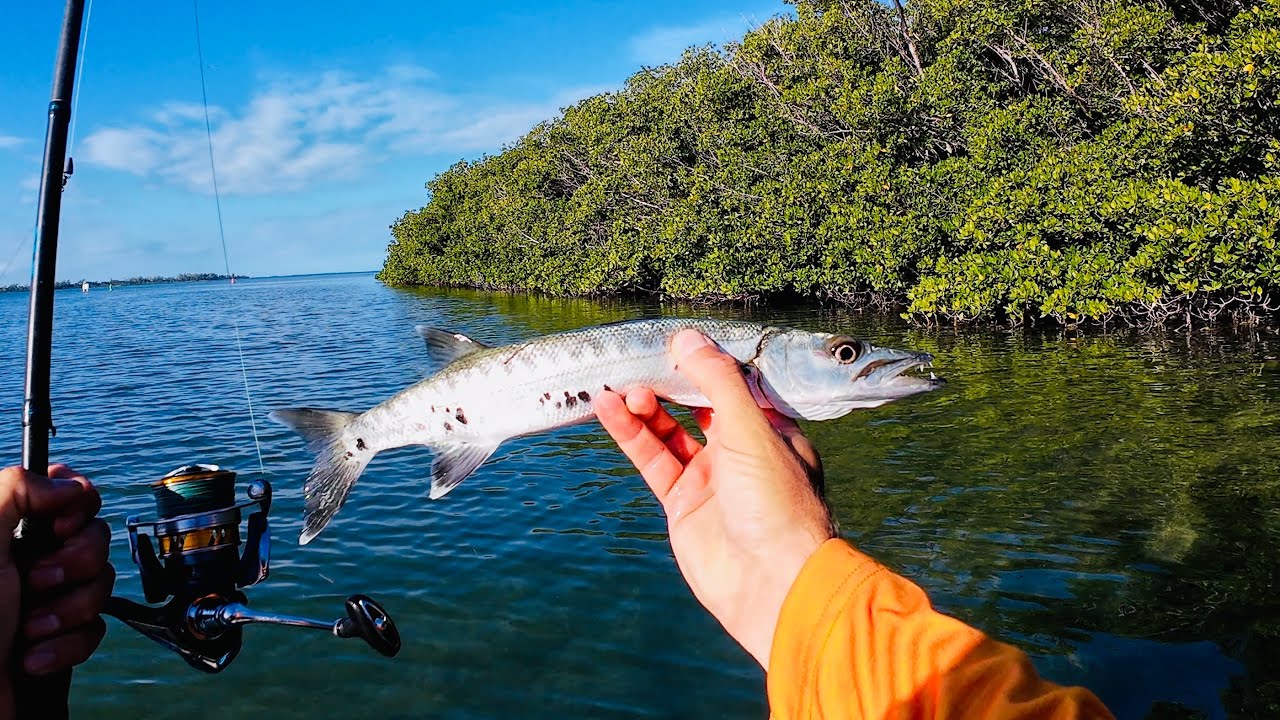 Florida Keys Kayak Fishing with Spoons and Cut Bait - YouTube