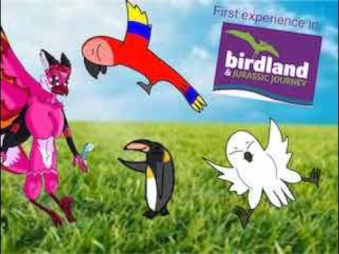 🐦 Going to Birdland 2020 for the FIRST TIME! | Birdland Park And ...