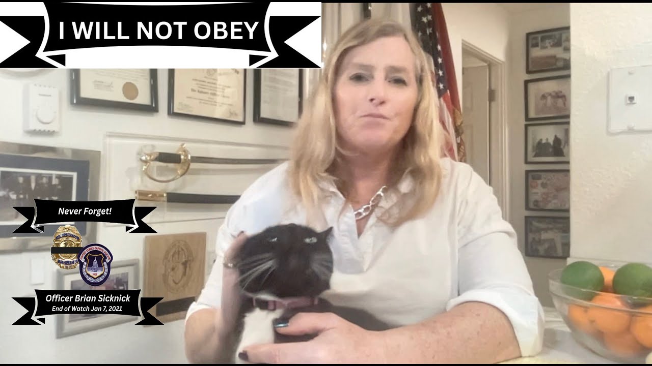 Vol 10 The Wade Forward, 1/28/2024: The Long Game & The Short Game to ...