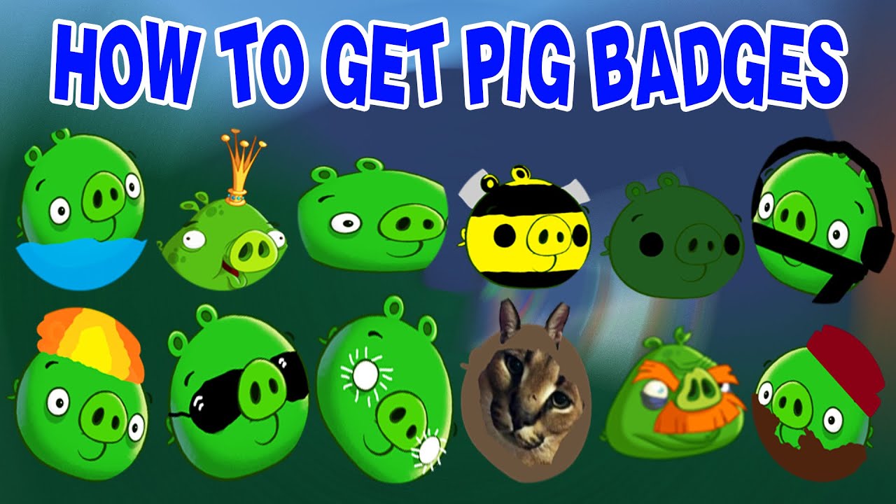 UPDATE - HOW TO GET PIG BADGES in Find The Pigs - ROBLOX - YouTube