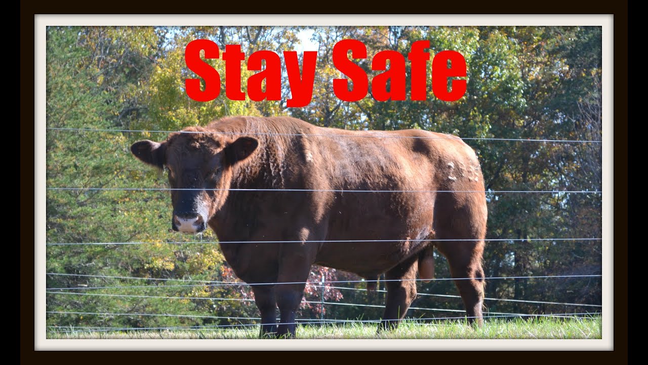 Stay Safe~ - YouTube