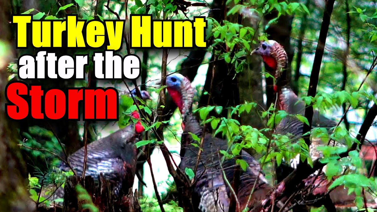 Weathering the Storm: Turkey Hunting in the Rain - YouTube