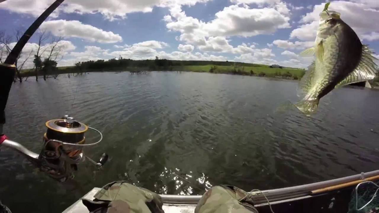 Crappie Fishing & Tree Jumping | Lost Grove Lake - YouTube