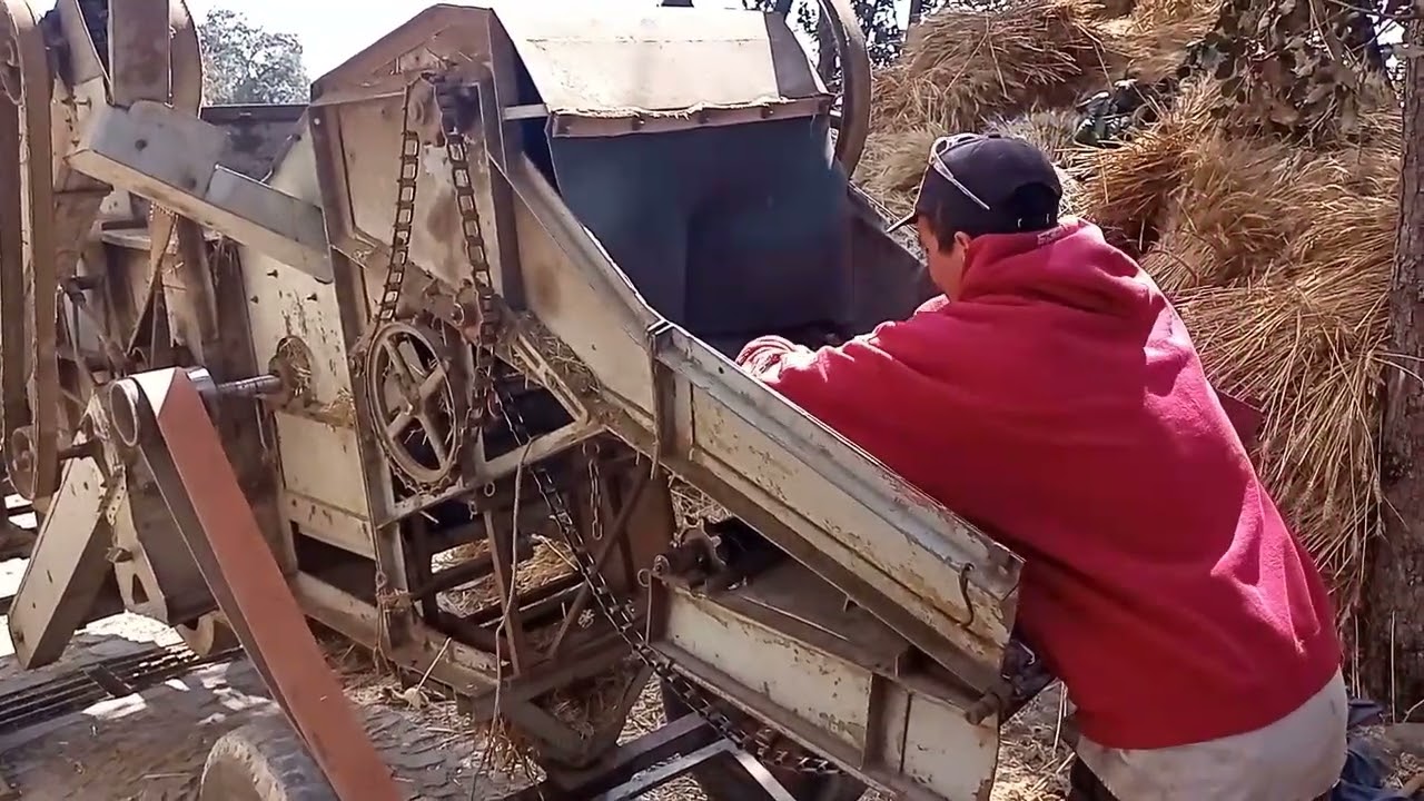 Como se trilla el trigo?. - YouTube