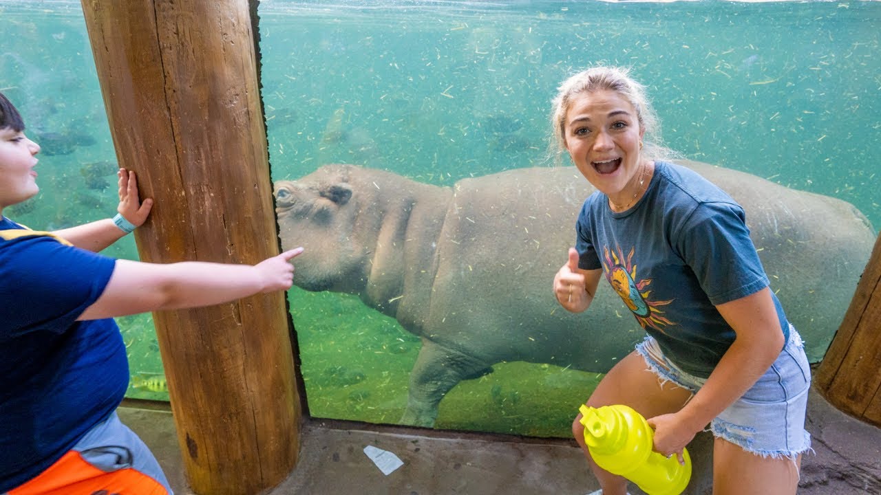 me at the zoo - YouTube