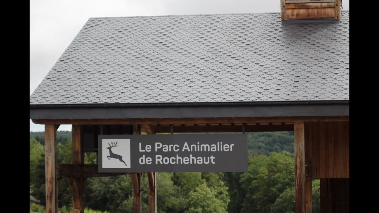 Parc animalier Rochehaut, "Entre ferme et forêt", Bouillon - YouTube