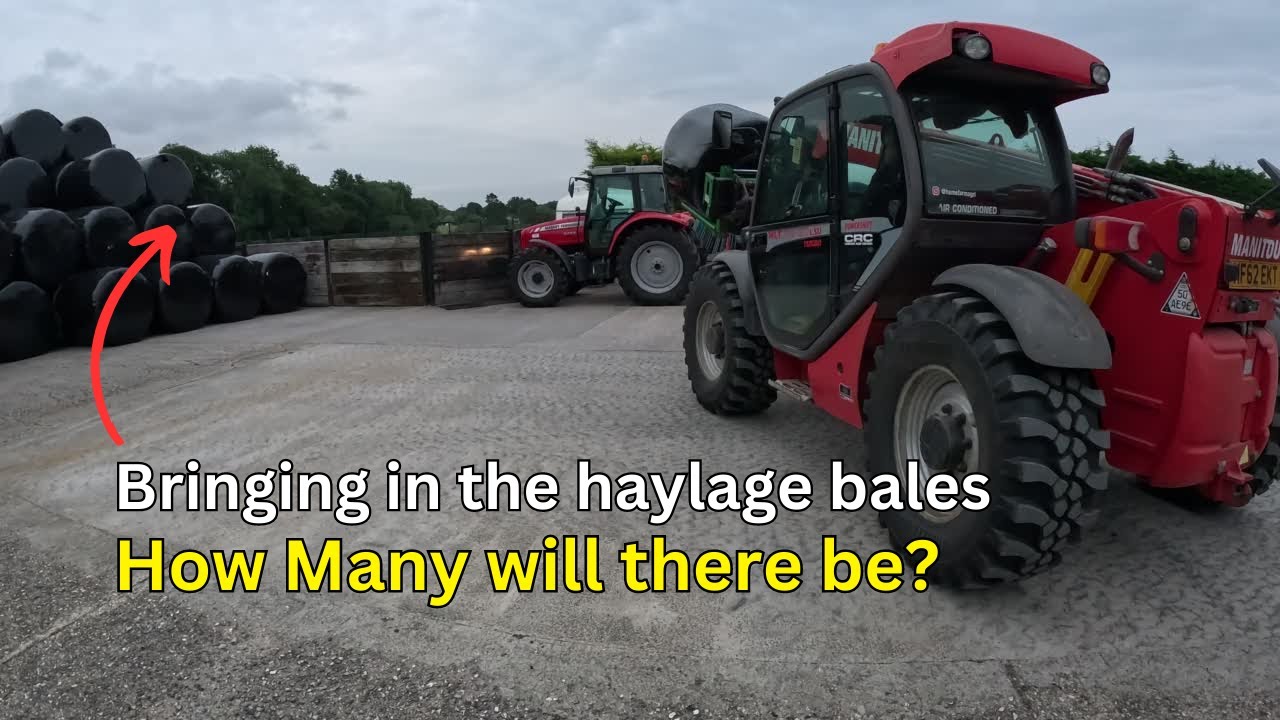 BALE CART HAS STARTED! | HOW MANY BALES? - YouTube