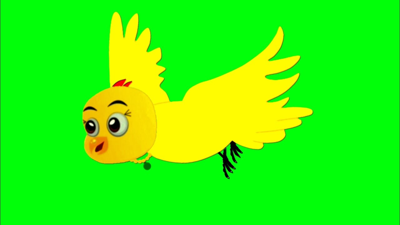 Talking and flying tuni chidiya in green screen - YouTube