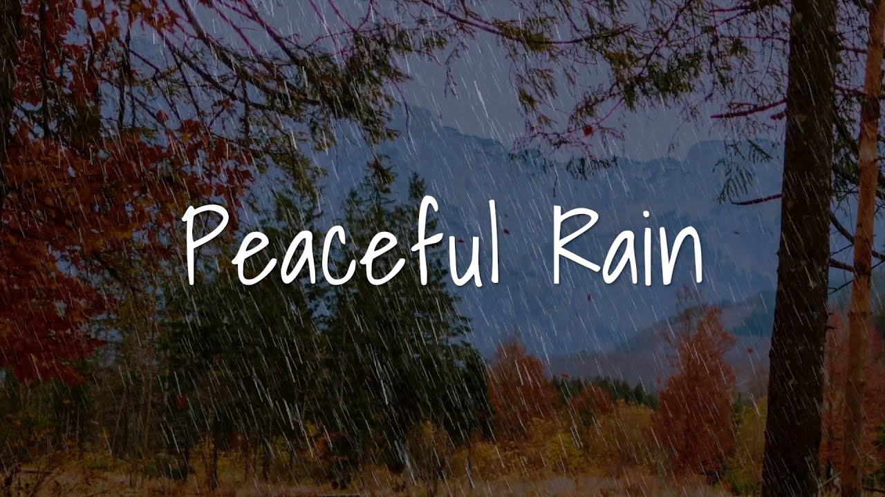 1 Minute of Peaceful Rain Sounds | Focus | Relieve Stress | Relax Your ...
