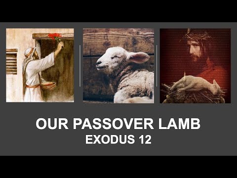 Our Passover Lamb (Exodus 12) - Nov. 1, 2020 - YouTube