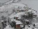 Asagiboynuyogun,boynuyogun, hozanlar