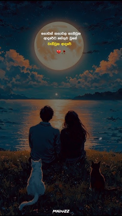 ගොඩක් කතාවල නැතිවුන 😓💔🥀 | Sinhala wadan | Wadan #wadan #whatsapp_status #shorts - YouTube