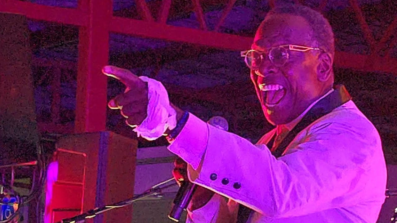 Harry Waters Jr. performs "Johnny B. Goode" with the Flux Capacitors ...