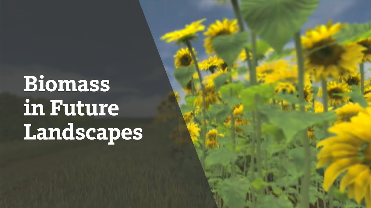 Biomass in Future Landscapes - YouTube
