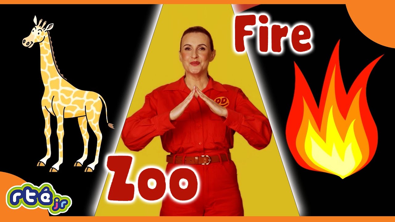 Dizzy Deliveries | Let's Learn Lámh Signs! | Zoo 🦍🐘 + Fire 🔥 ...