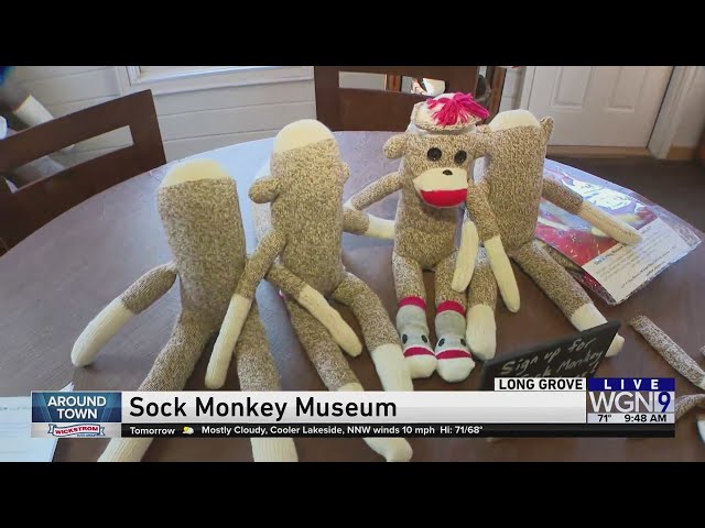 Sock Monkey Baby Items
