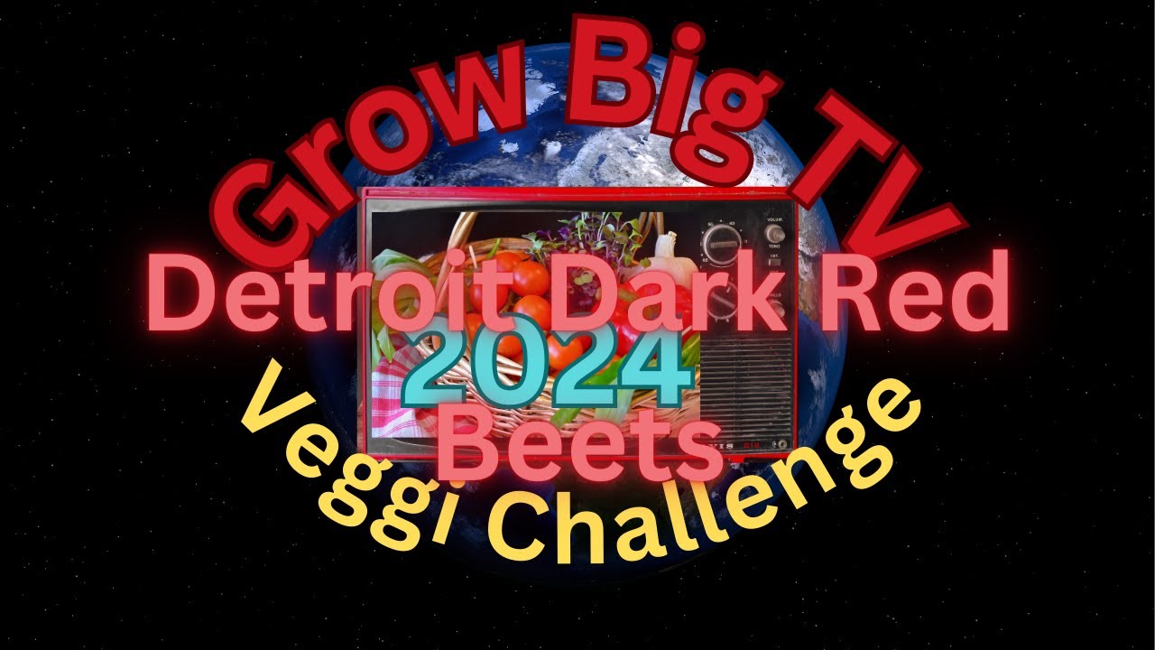 Detroit Dark Red Beet - YouTube