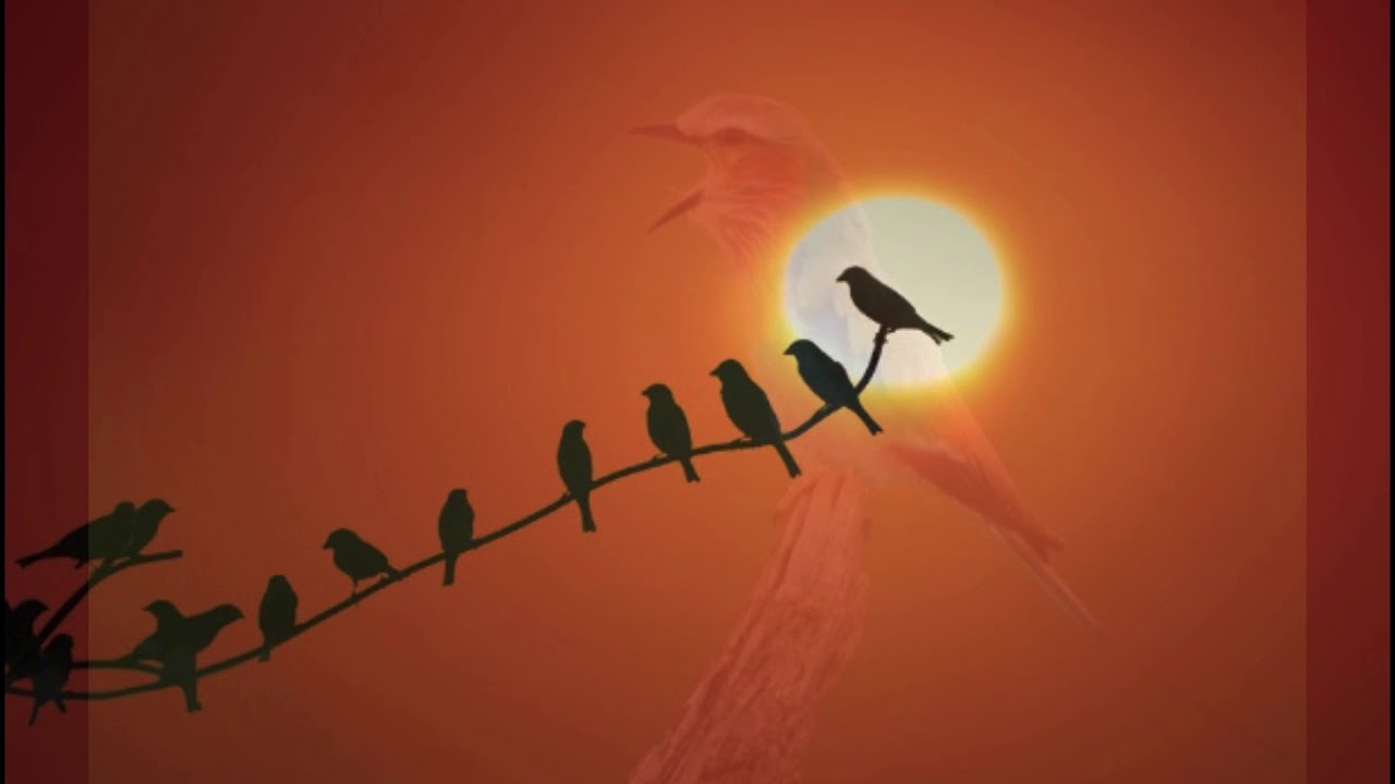 Welcoming the Sun - N.A.F. Windsong Music by G - YouTube