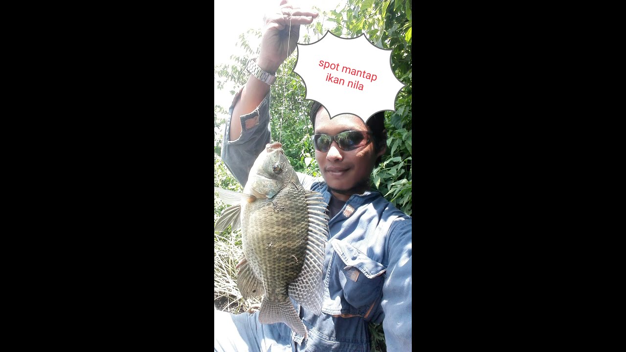 Mancing mania/fishing - YouTube