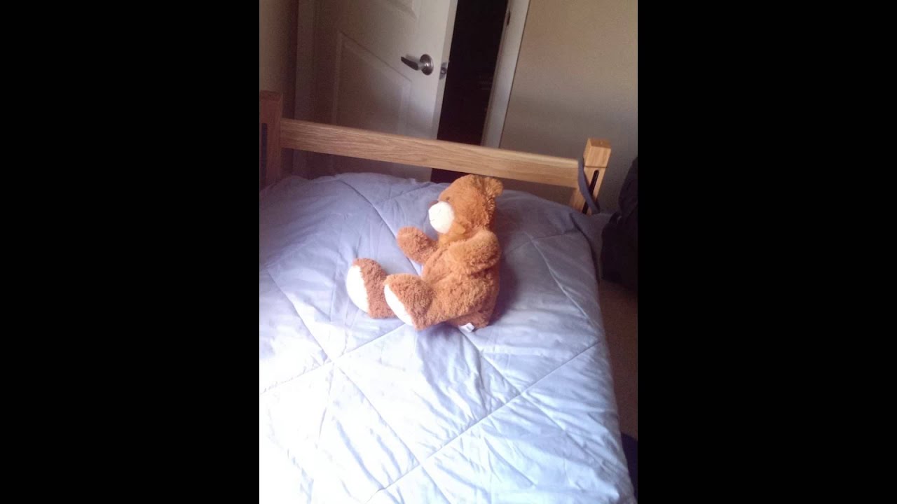 teddy weddy - YouTube