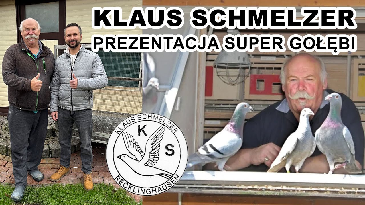 Klaus Schmelzer - aukcja gołębi. m.in. Gebr. Leideman, Rene Vervoort ...