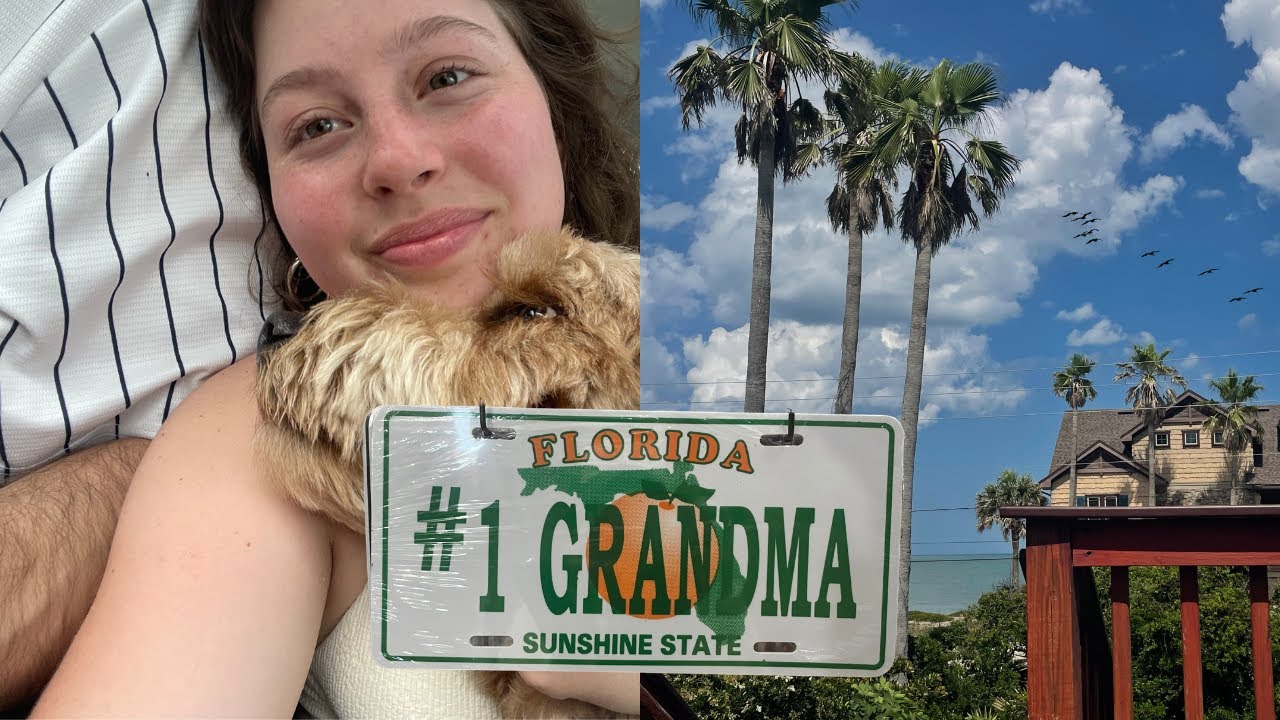 An average day but in Florida - YouTube