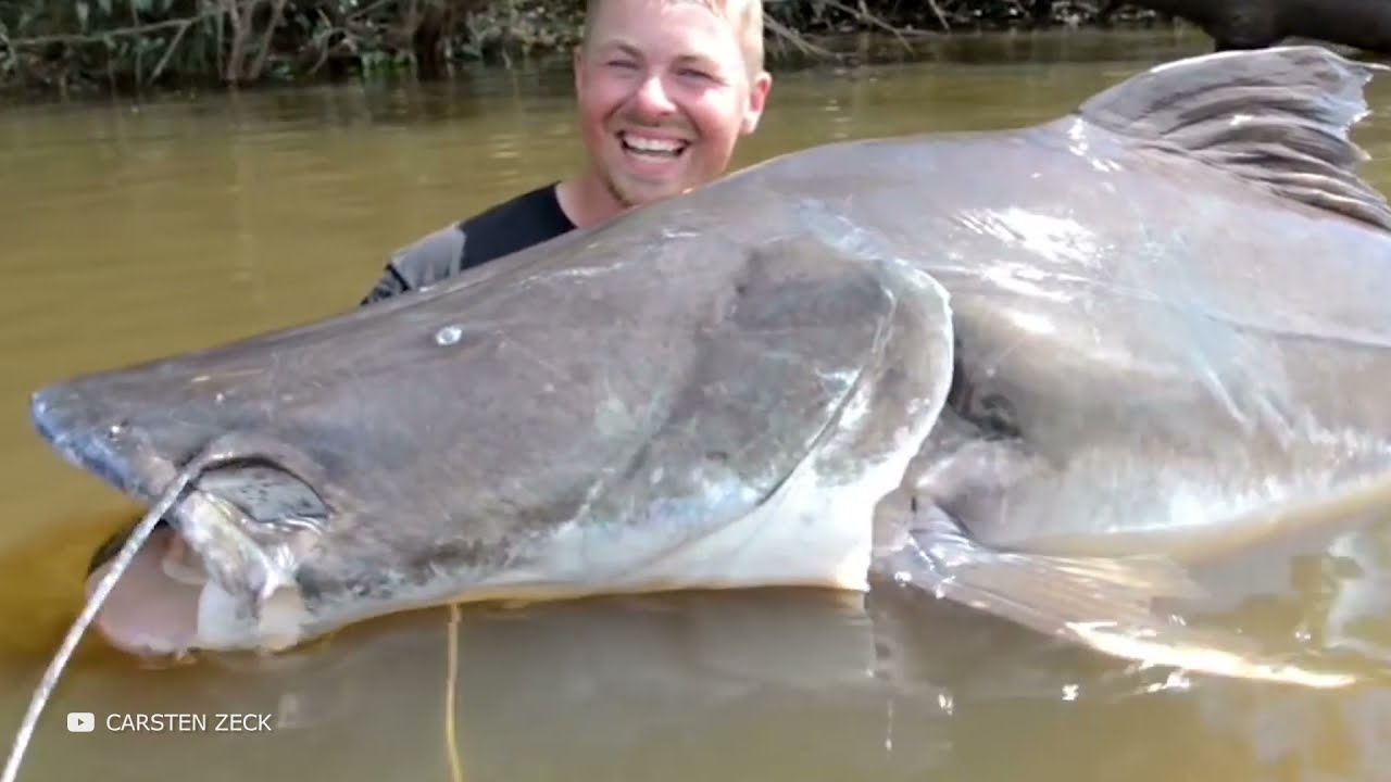 10 Monstros Assustadores do Rio Amazonas Que Foram Filmados - YouTube