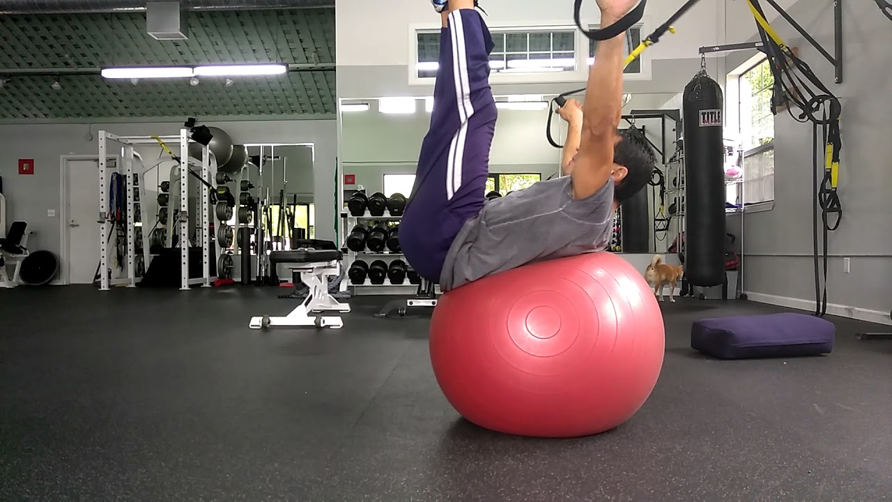 Lvl 5 Strength/Stability...TRX(back)/Swiss ball supine L holds - YouTube