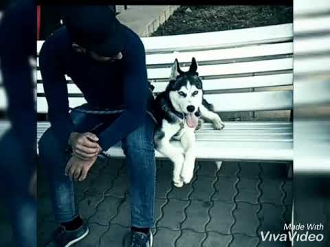 Qəlbi yarə olan mənəm😏😔