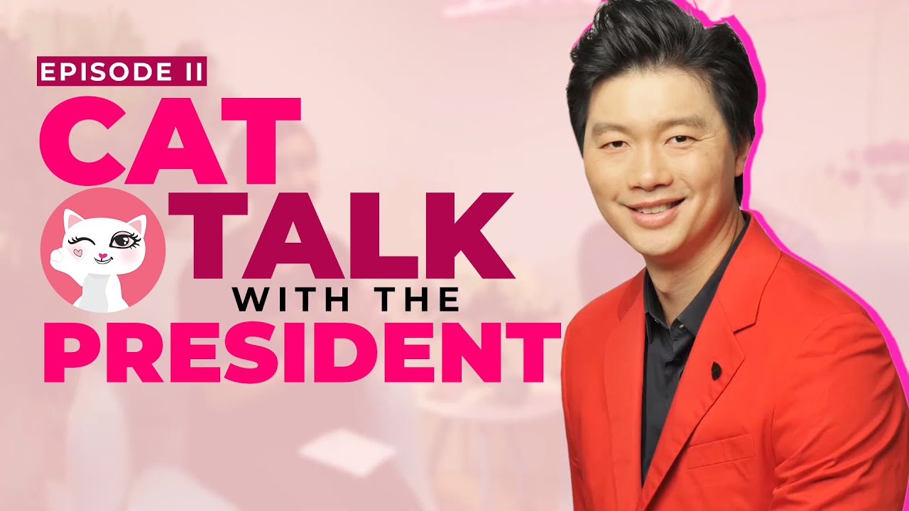 CAT TALK SERIES: Business Opportunity with Pink Parlour — Part 2 ...