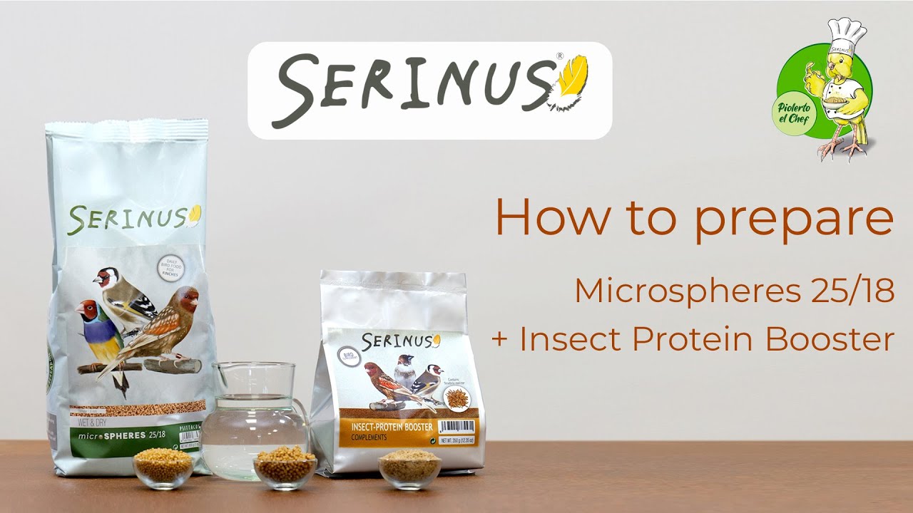 How to prepare Microspheres + Insect-Protein Booster - YouTube