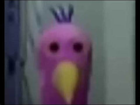 Scary Bird Game - YouTube