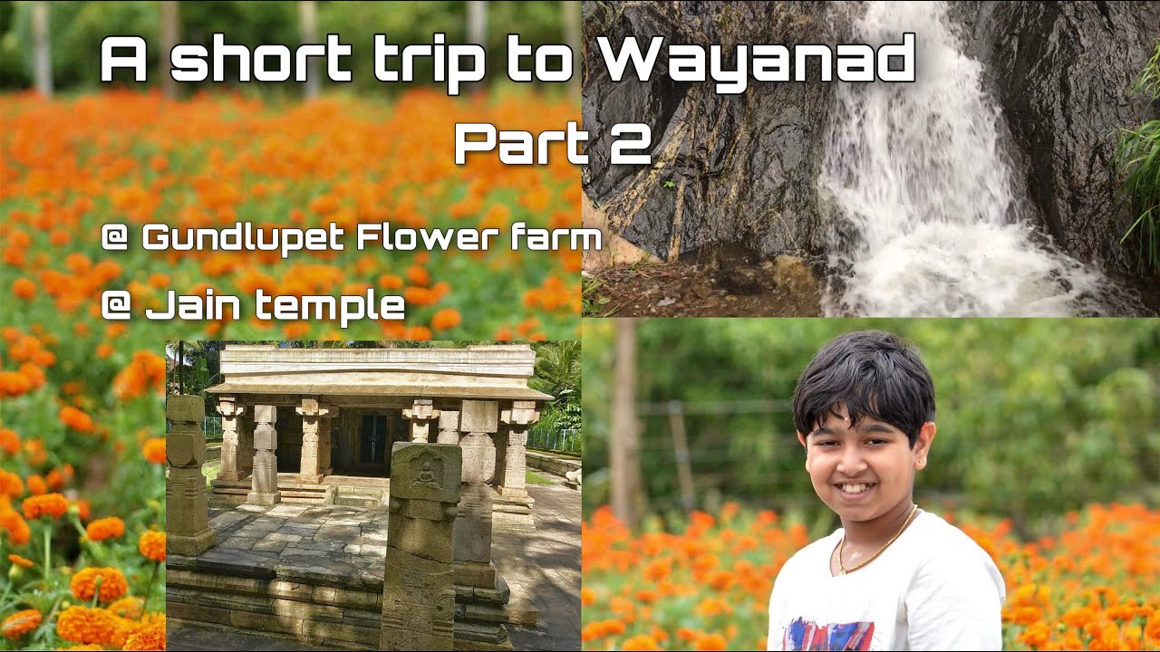Short Trip To Wayanad | Gundlupet Marigold Flower Farm | Jain Temple ...