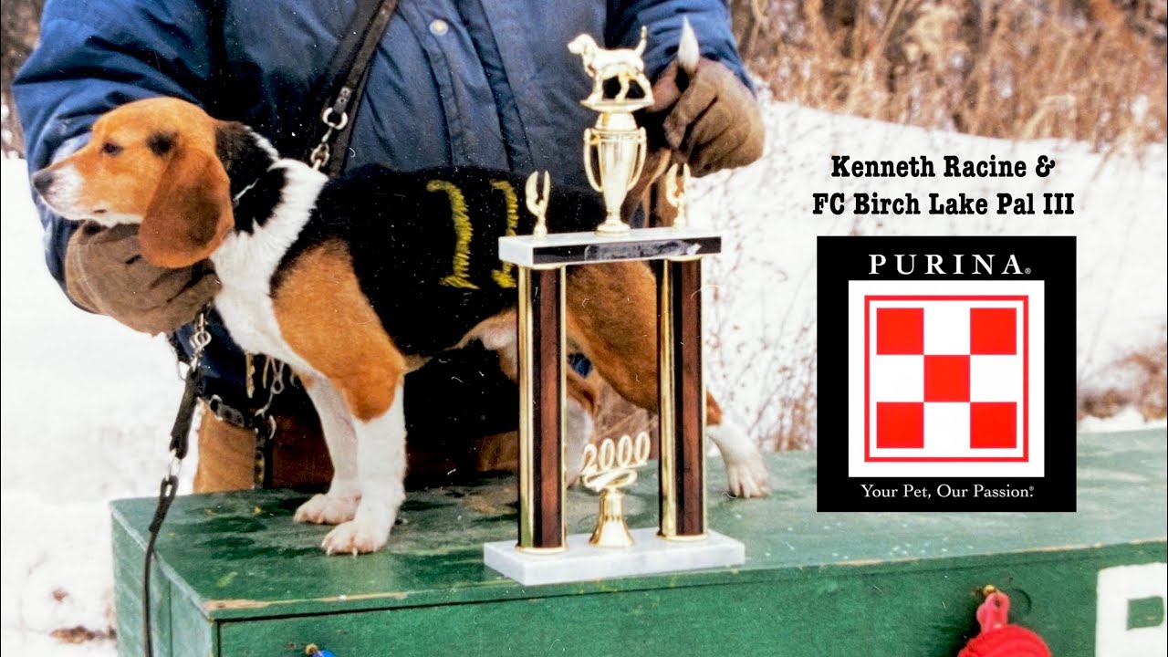 Kenneth Racine: FC Birch Lake Pal III & Birch Lake Beagles | Michigan ...