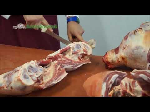 5 Sheep Story - Lambs at Butchers