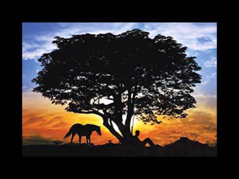 ÖLÜMÜ BEKLİYORUM