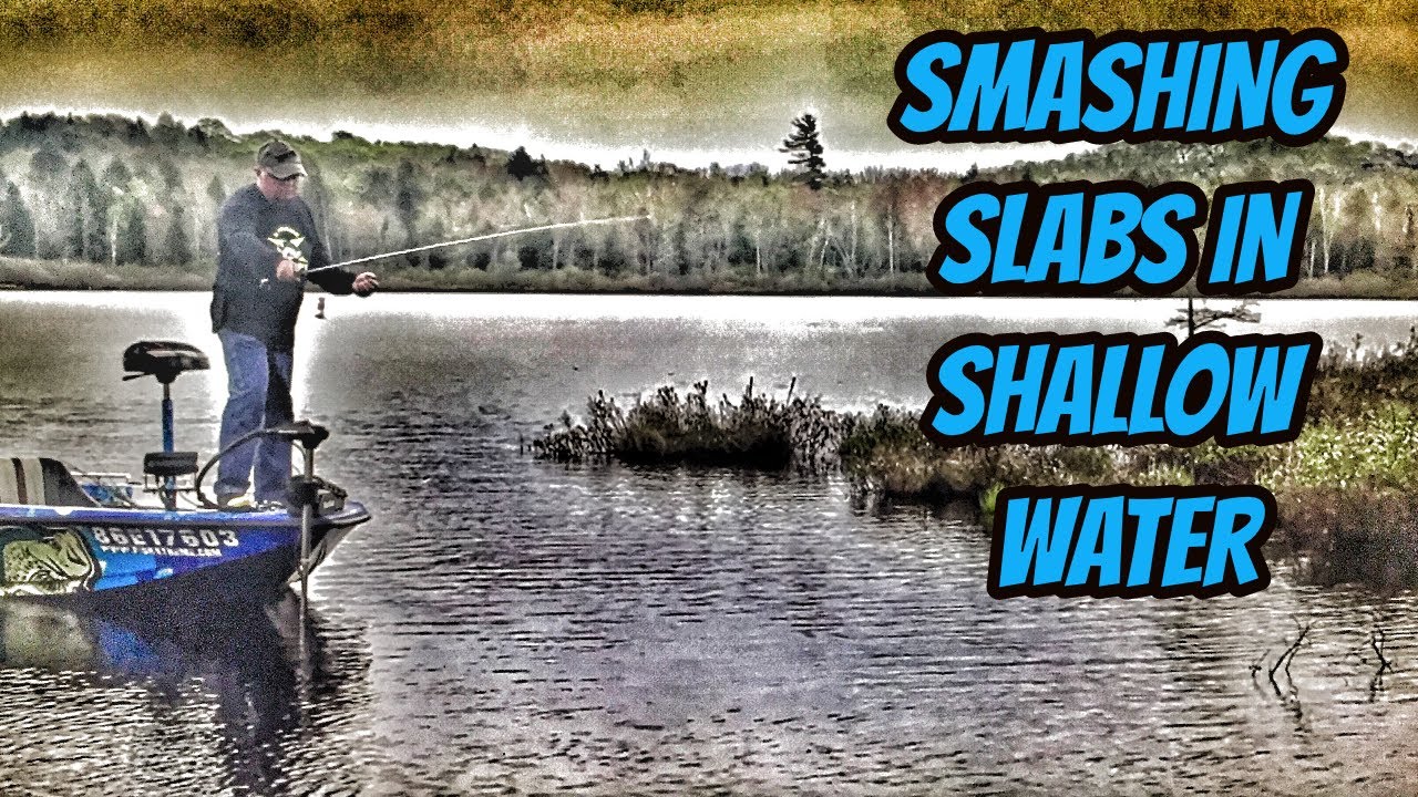 Catching Big Crappie in Fallen Trees- How To Do it - YouTube