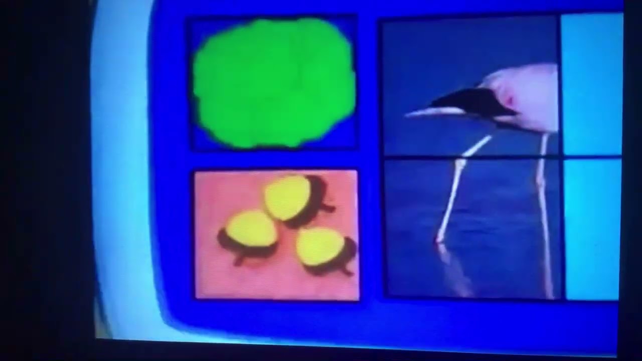 Go Diego Go Puzzle Pink Flamingo In (2007) - YouTube