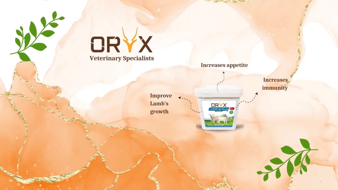 Pro Lamb - Premix to increase Growth process Powder premix - oryx - YouTube
