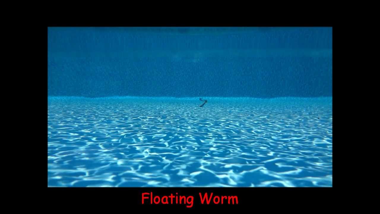 Texas rigging The New Soft Plastic Floating worm - YouTube