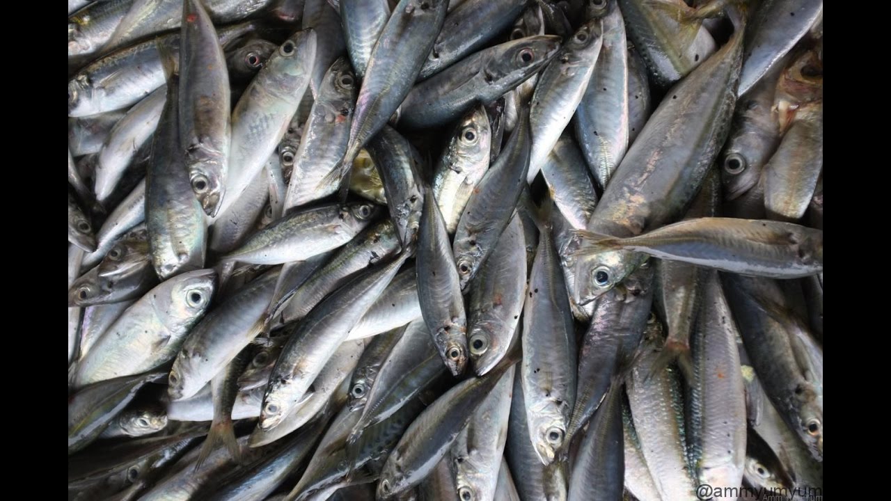 Nethallu Fry Recipe Restaurant Style - YouTube